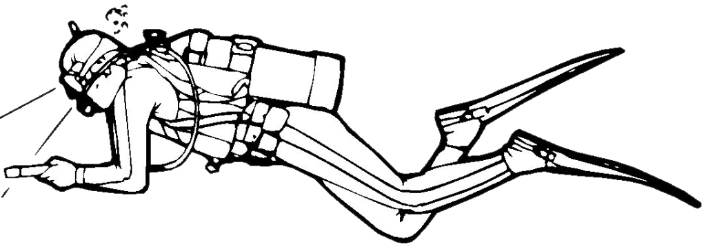 SCUBA line drawing a | The Seahorse Trust